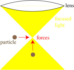 Taking flight on light | Skulls in the Stars