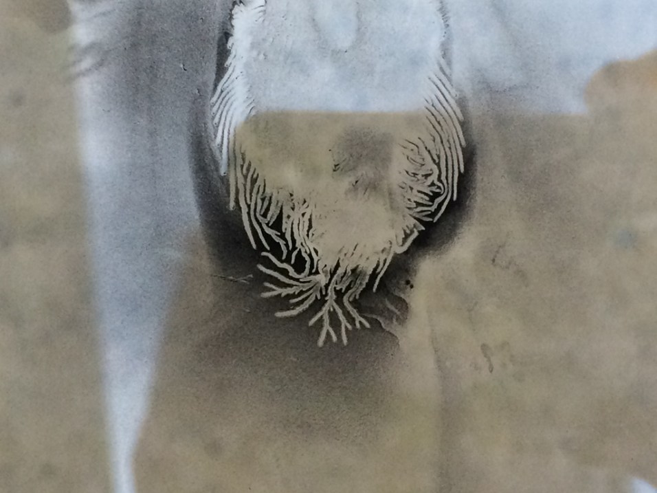 Physics demonstrations: Lichtenberg figures | Skulls in the Stars