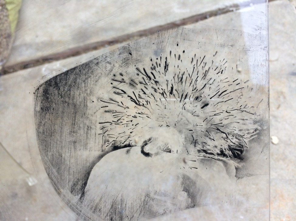 Physics demonstrations: Lichtenberg figures | Skulls in the Stars