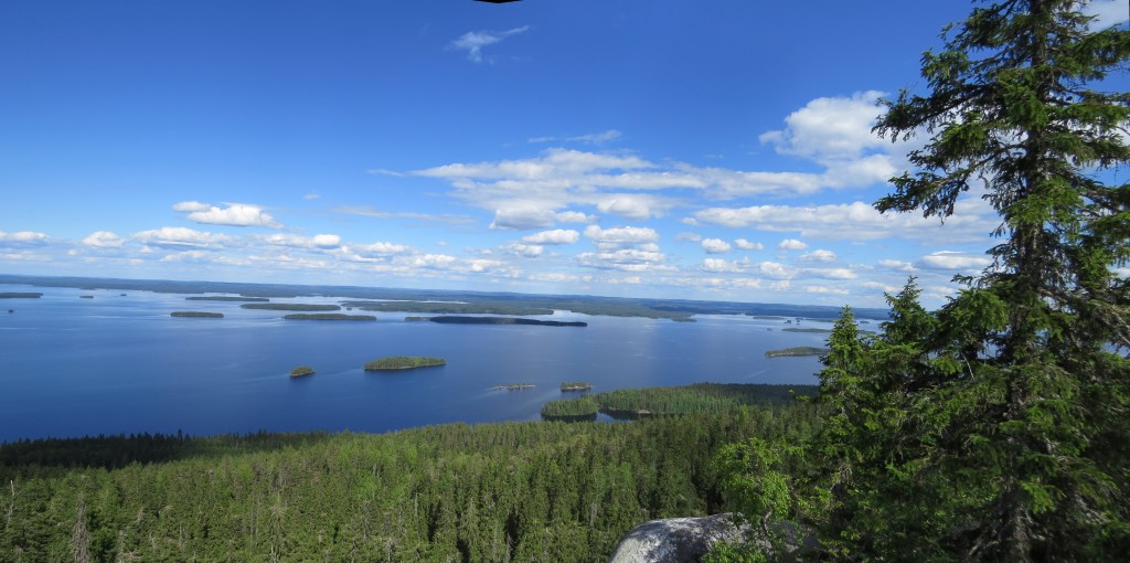Dr. SkySkull in Finland: Koli National Park | Skulls in the Stars
