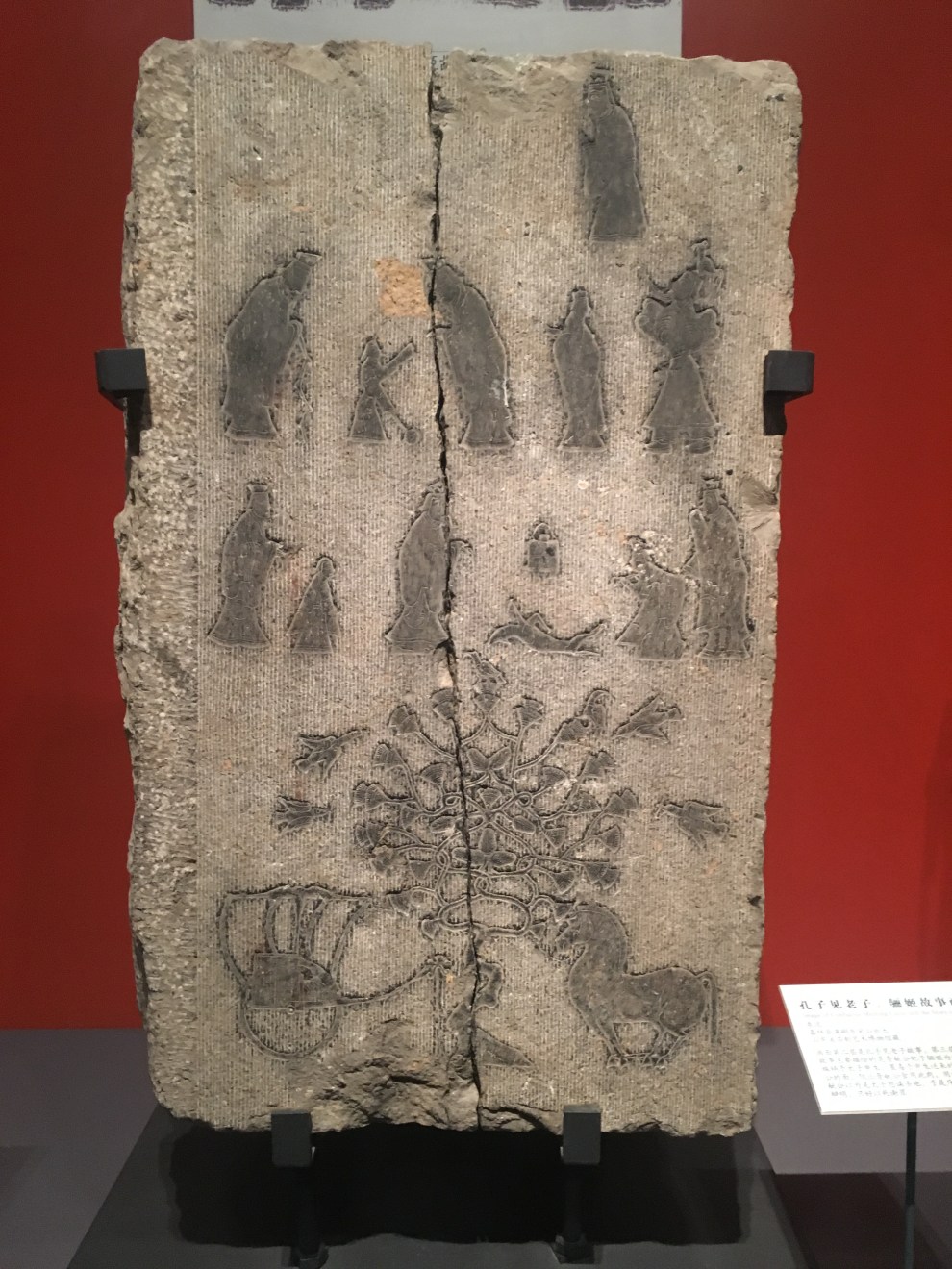 Dr. SkySkull in China, Part 4: the Shandong Museum | Skulls in the Stars