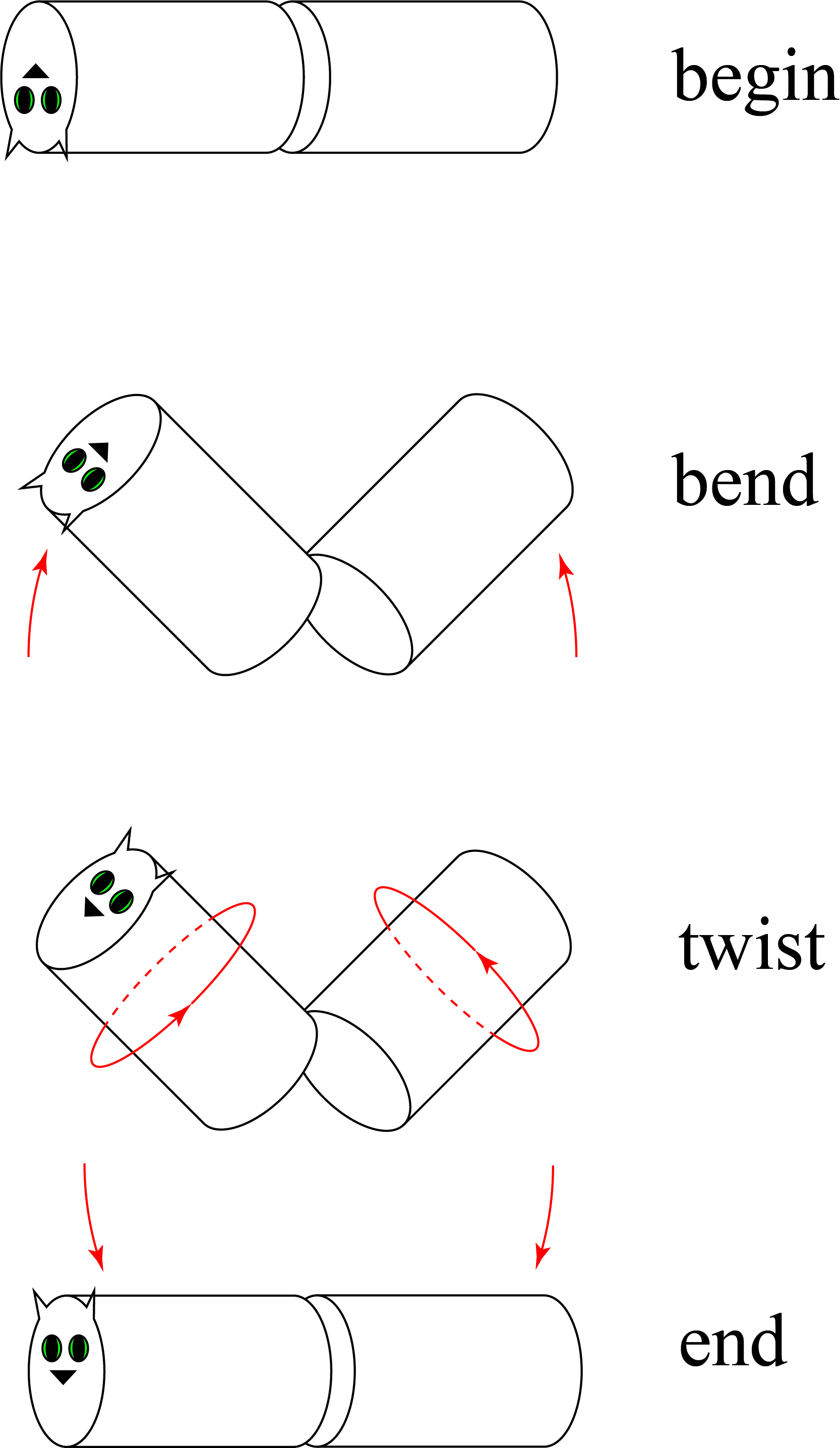 About a cat flip video! | Skulls in the Stars