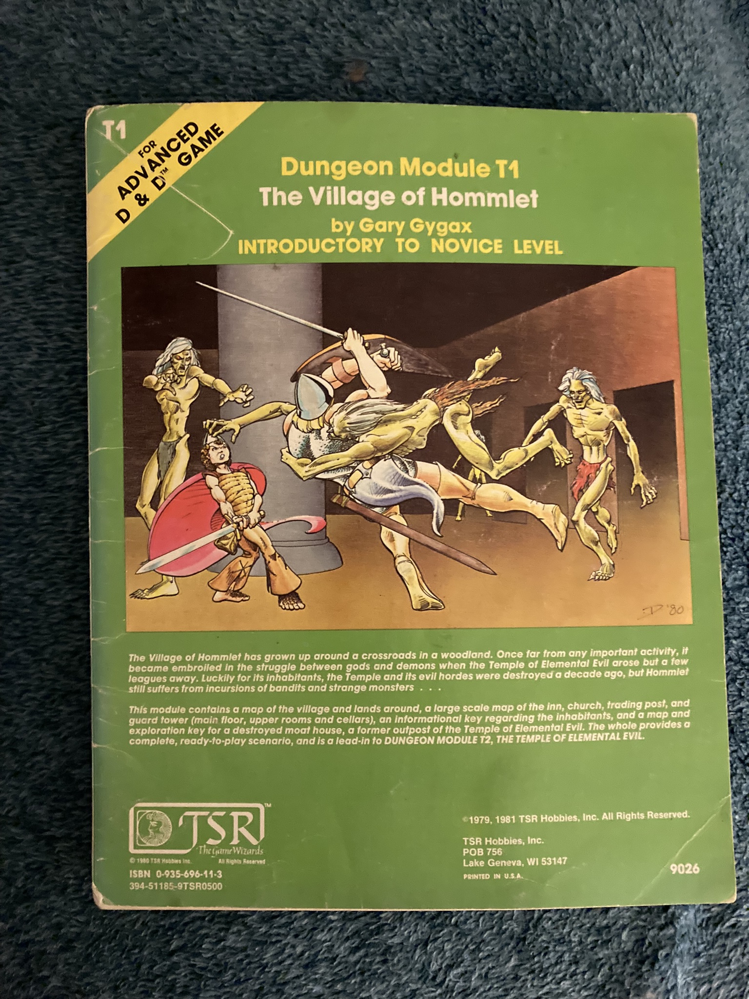 An Ode to “The Temple of Elemental Evil” | Skulls in the Stars